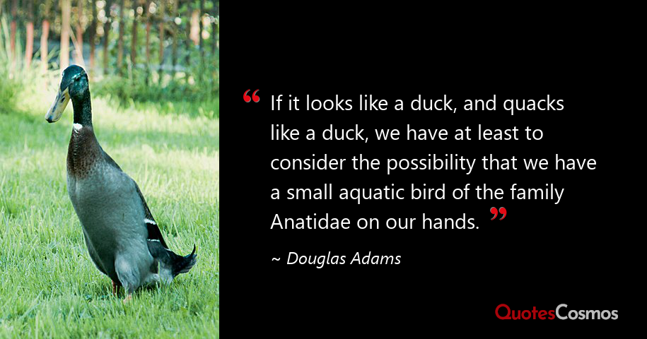 “If it looks like a duck, and quacks…” Douglas Adams Quote