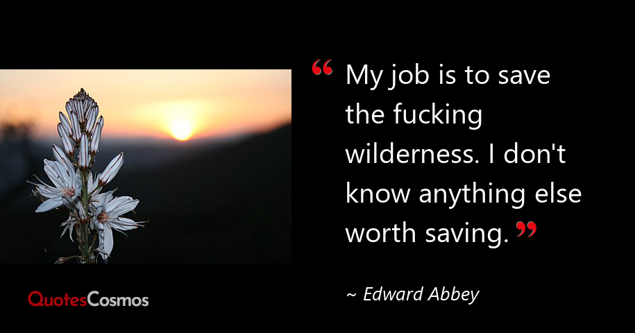 Edward Abbey Quote