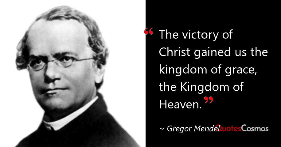 Gregor Mendel Quotes Gregor Mendel Quote: “The Value And Utility Of