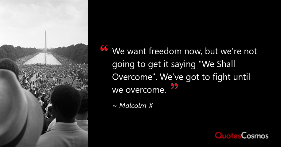 “We want freedom now, but we’re not…” Malcolm X Quote