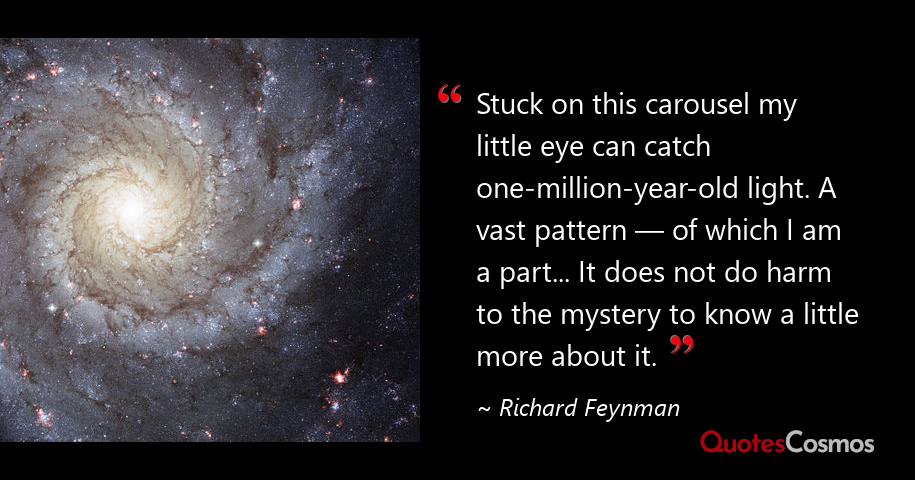 “Stuck on this carousel my little…” Richard Feynman Quote