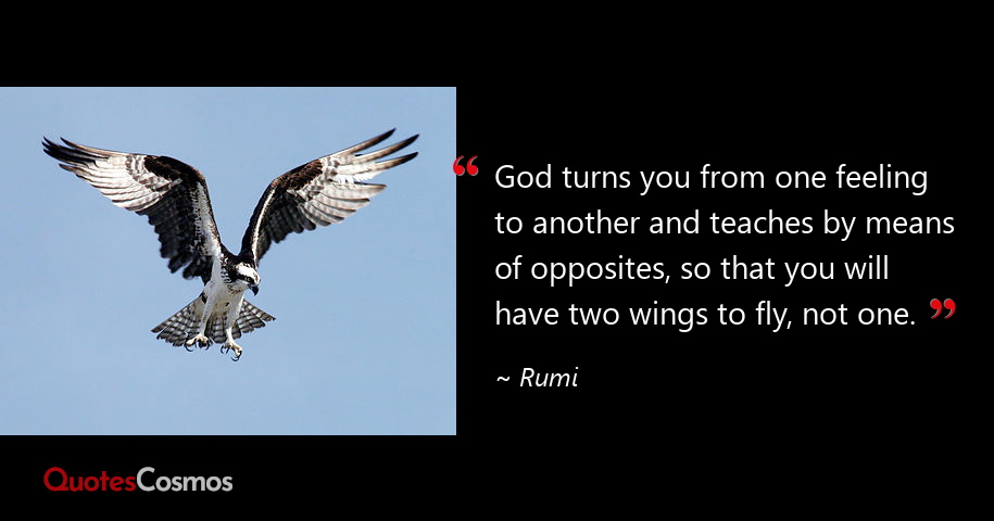 “God turns you from one feeling to another and…” Rumi Quote