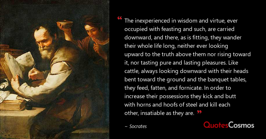 “The inexperienced in wisdom and virtue,…” Socrates Quote
