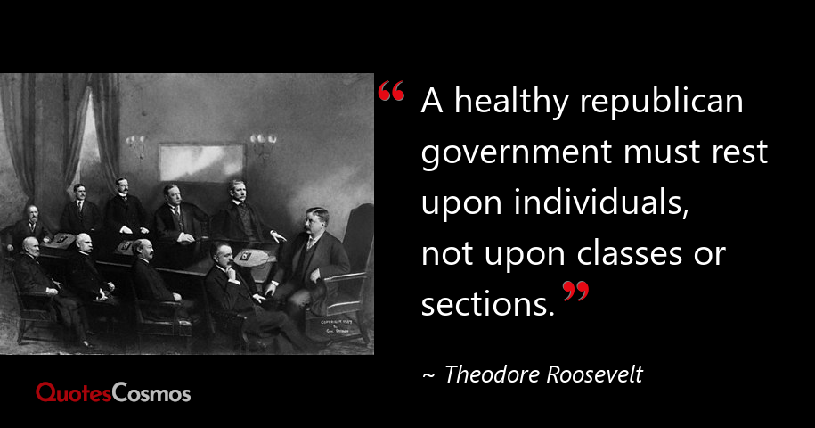 “A healthy republican government…” Theodore Roosevelt Quote